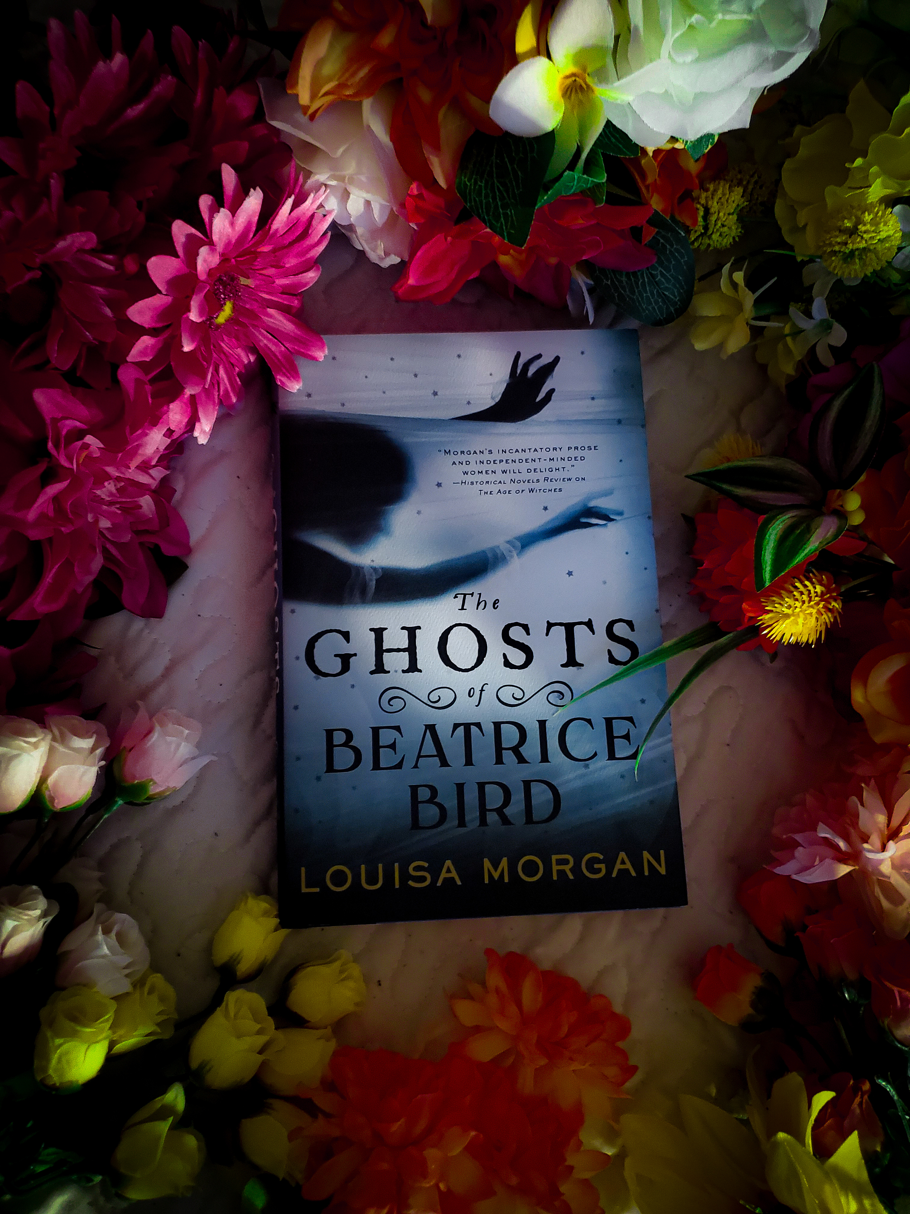The Ghosts of Beatrice Bird by Louisa Morgan – Of Worlds Forgotten